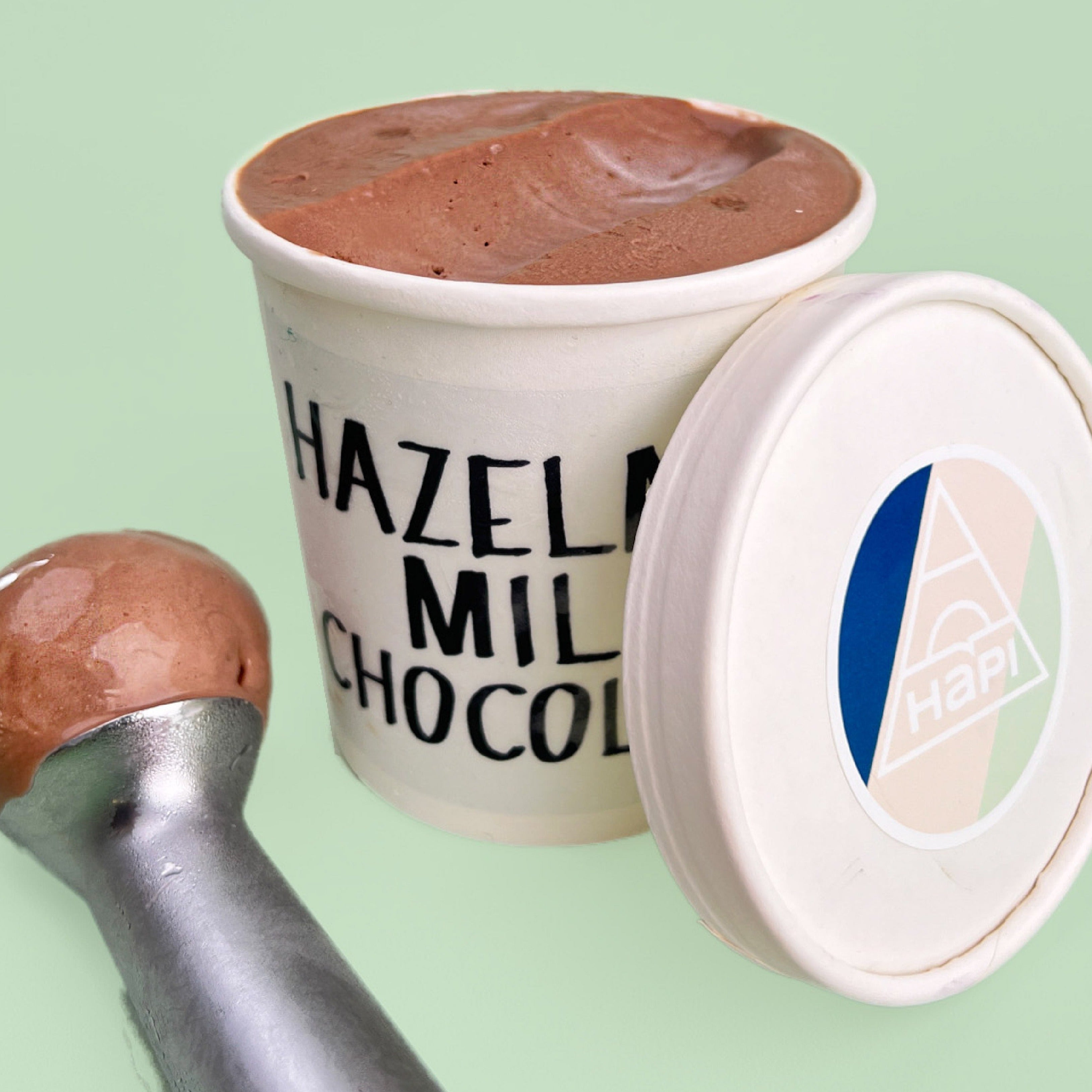 Hazelnut Milk Chocolate Artisan Ice Cream | Tub 480ml – Hapi.ae